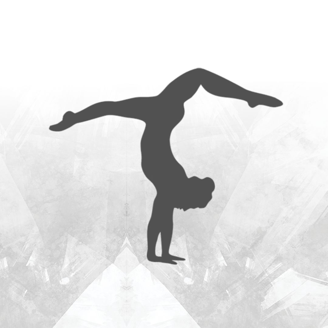 Tribe Fitness and Dance Studio Dublin Ireland